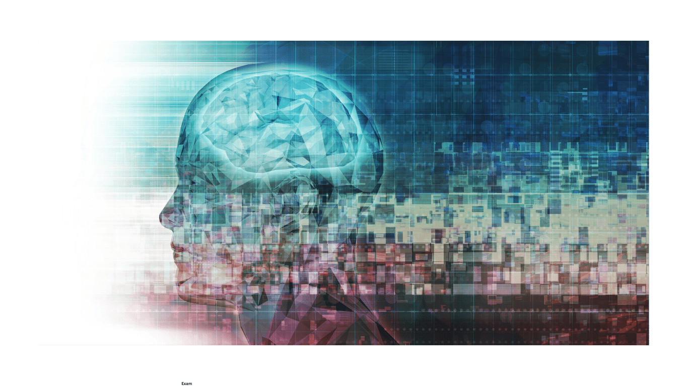 Unlocking the Brain: Inside Cognitive Neuroscience - Online Exam ...